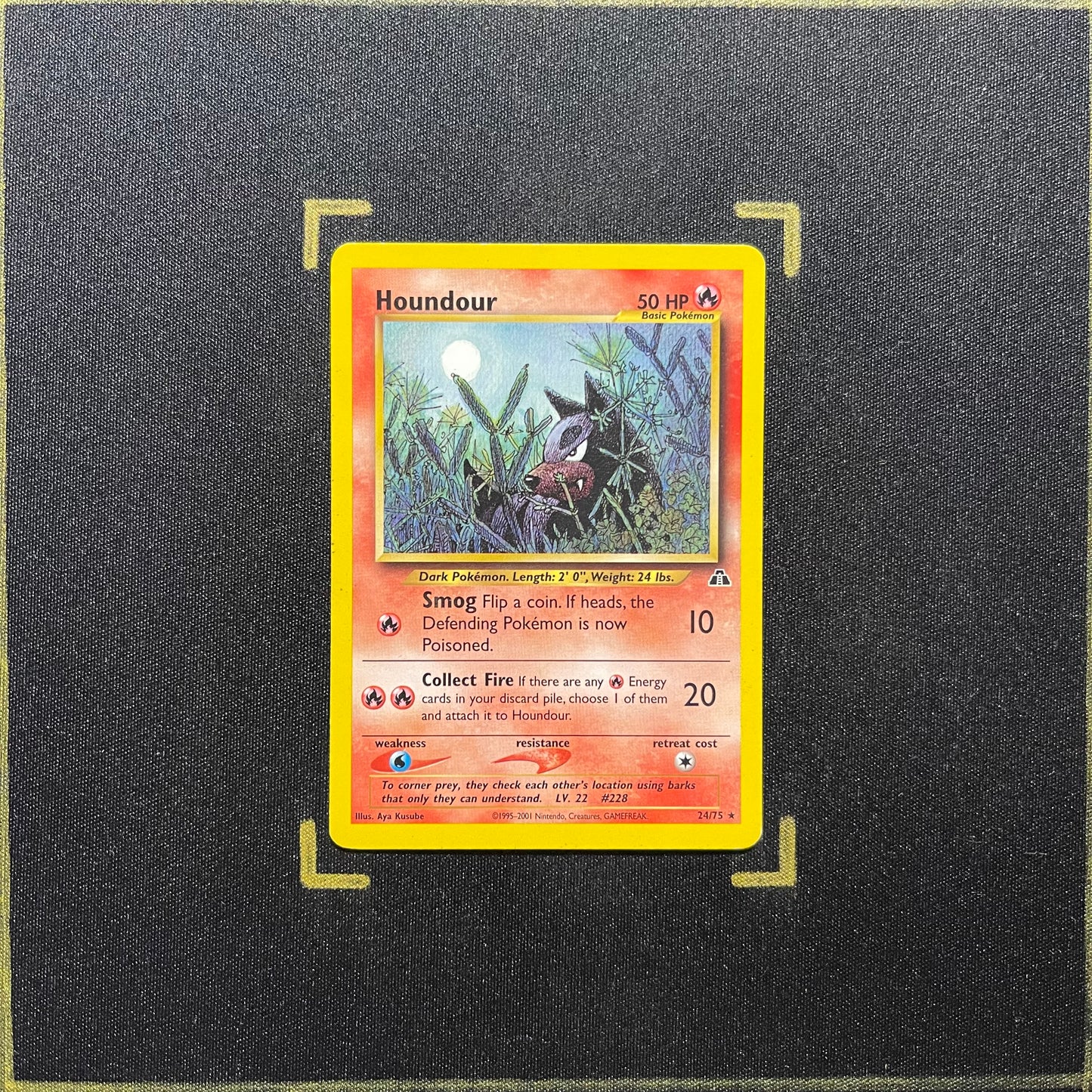 Houndour (24) - Neo Discovery (N2) – Gold Nugget Cards