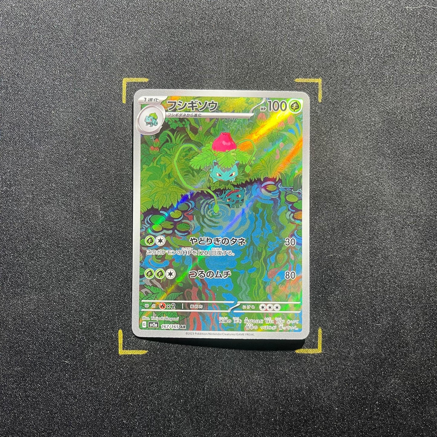 Ivysaur - 167/165 - SV2a: Pokemon Card 151 (SV2a) – Gold Nugget