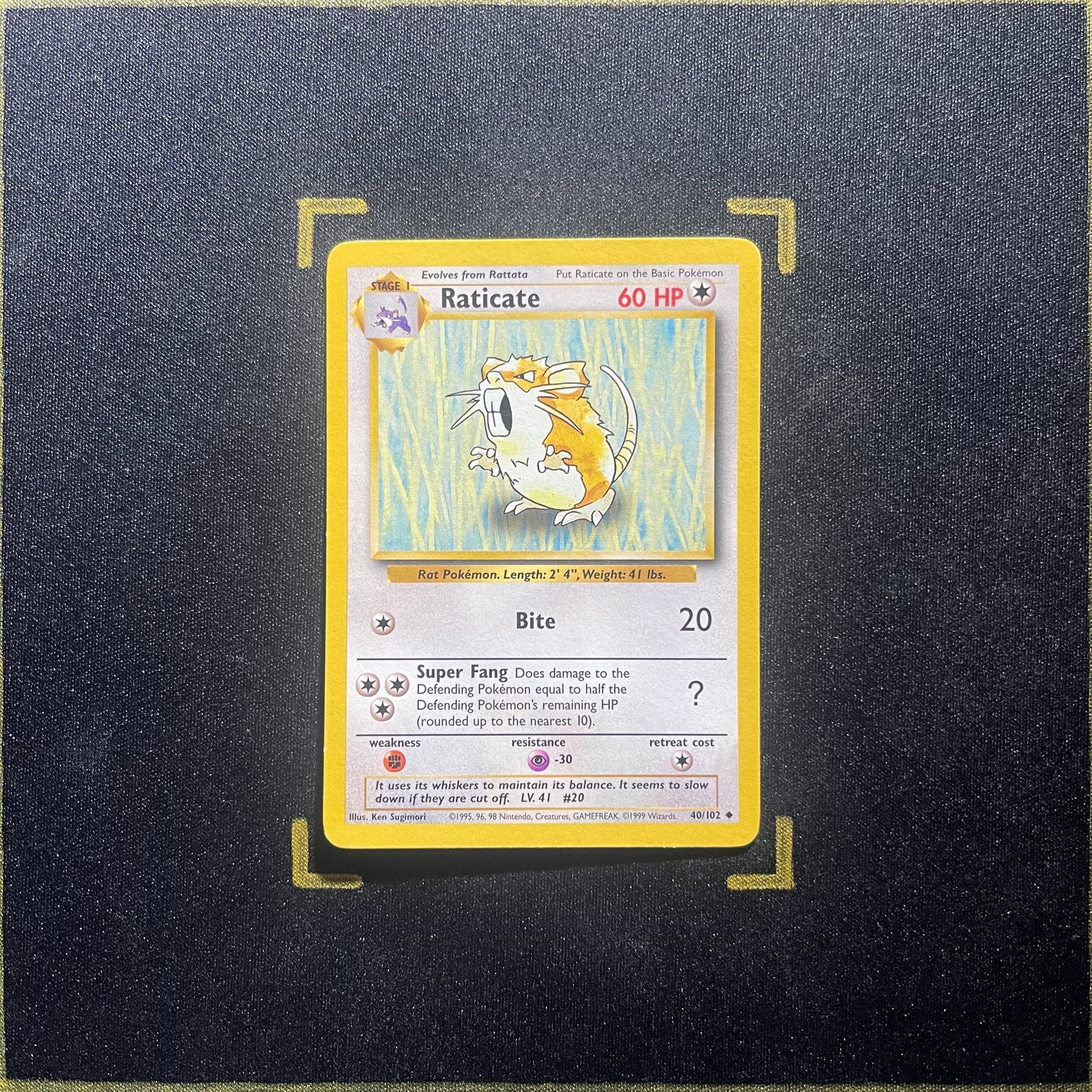 Raticate - Base Set (BS) – Gold Nugget Cards